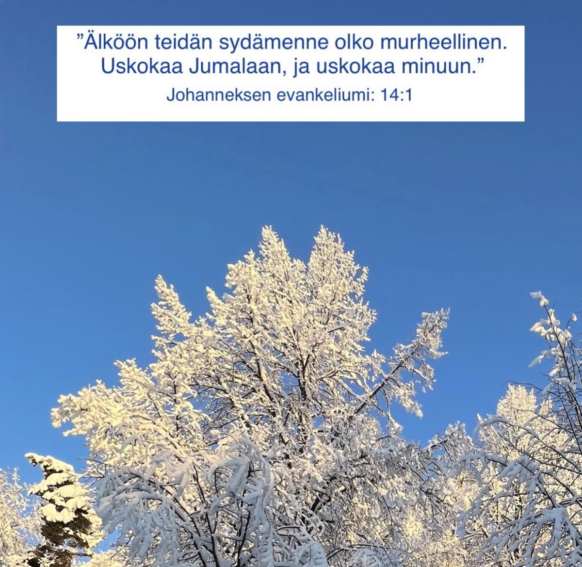 Yleinen – ARMO KANTAA